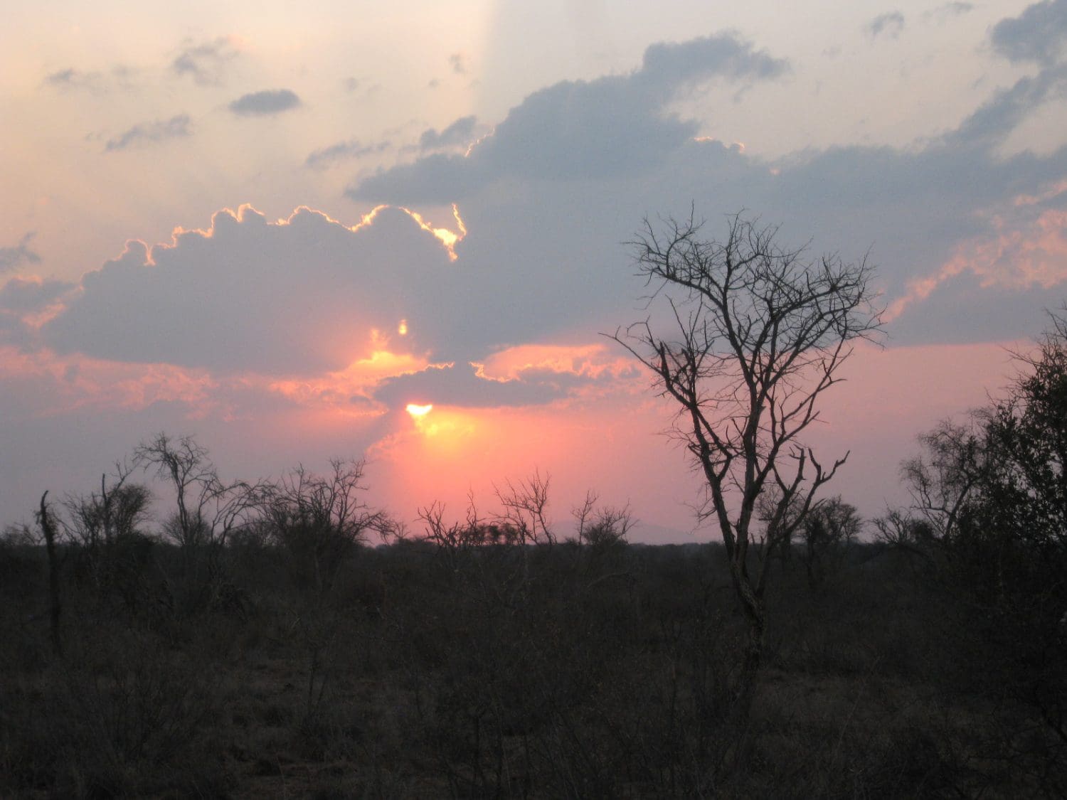 TvlLeaders: LaVonne's Adventures in Africa